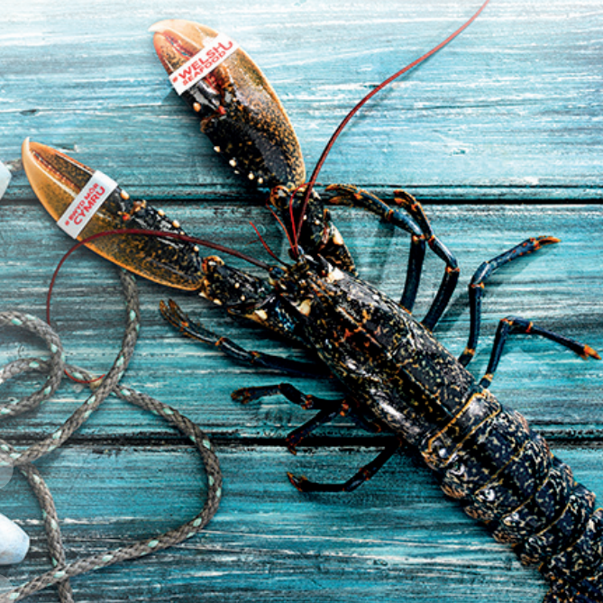 How to Prepare a Lobster – Mermaid Seafoods