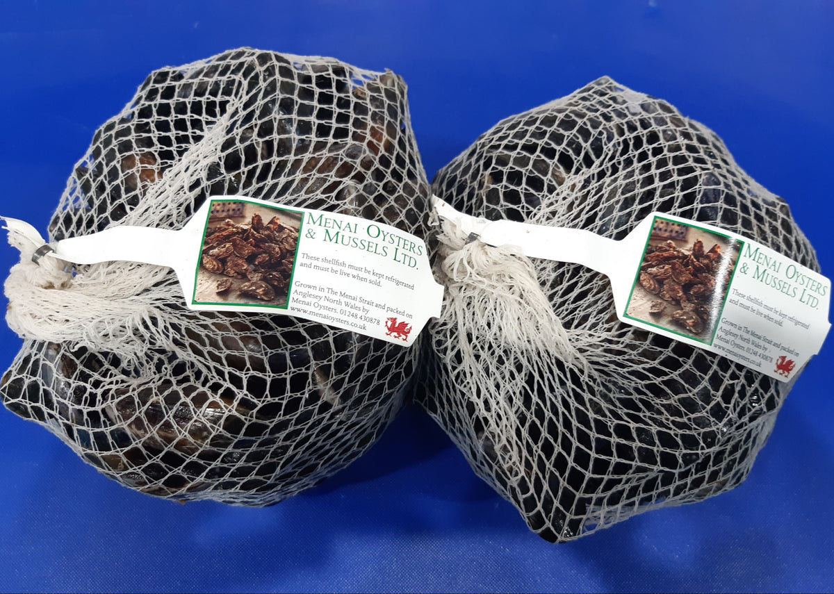 Menai Mussels - 2kg bag – Mermaid Seafoods